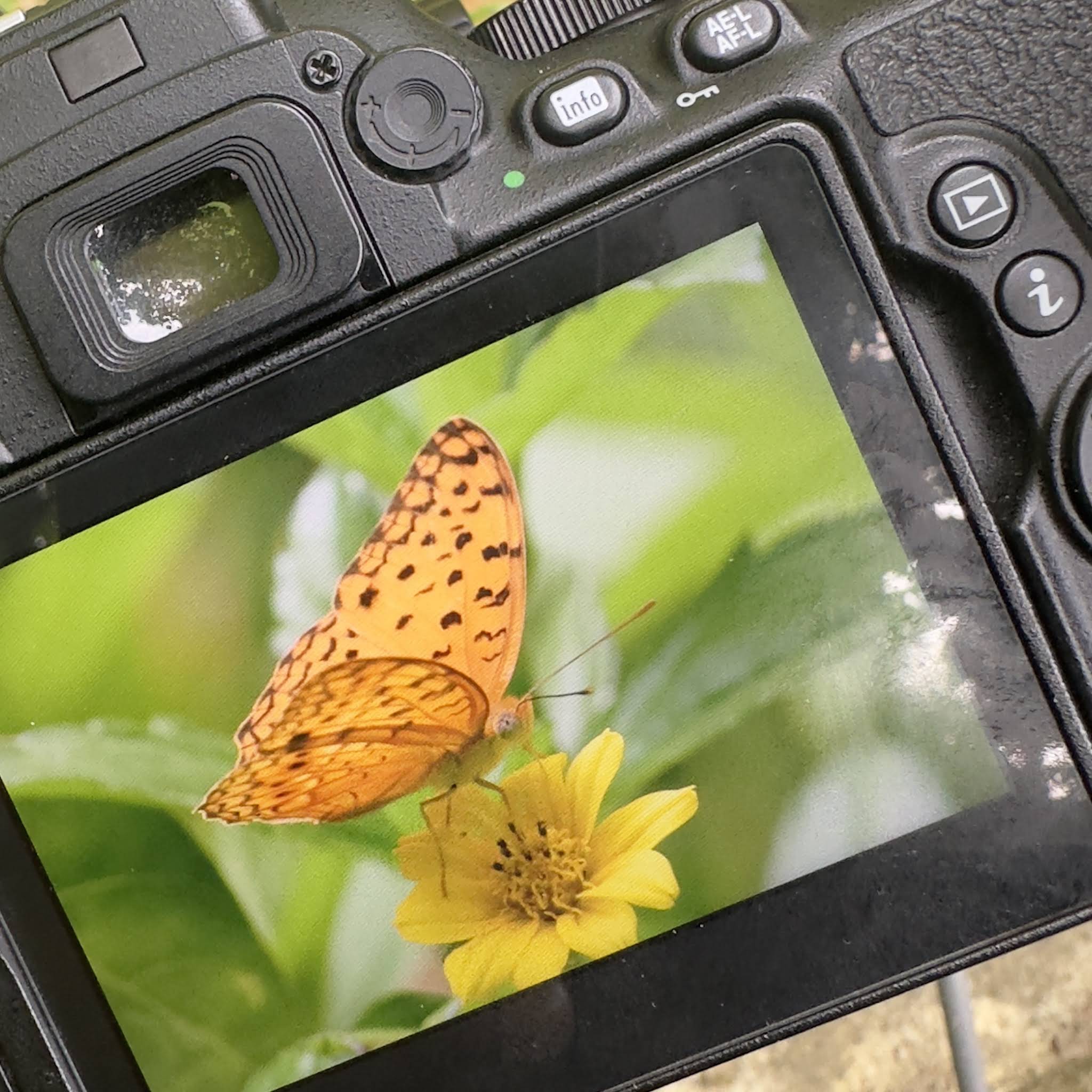 Post from Sachith Peiris