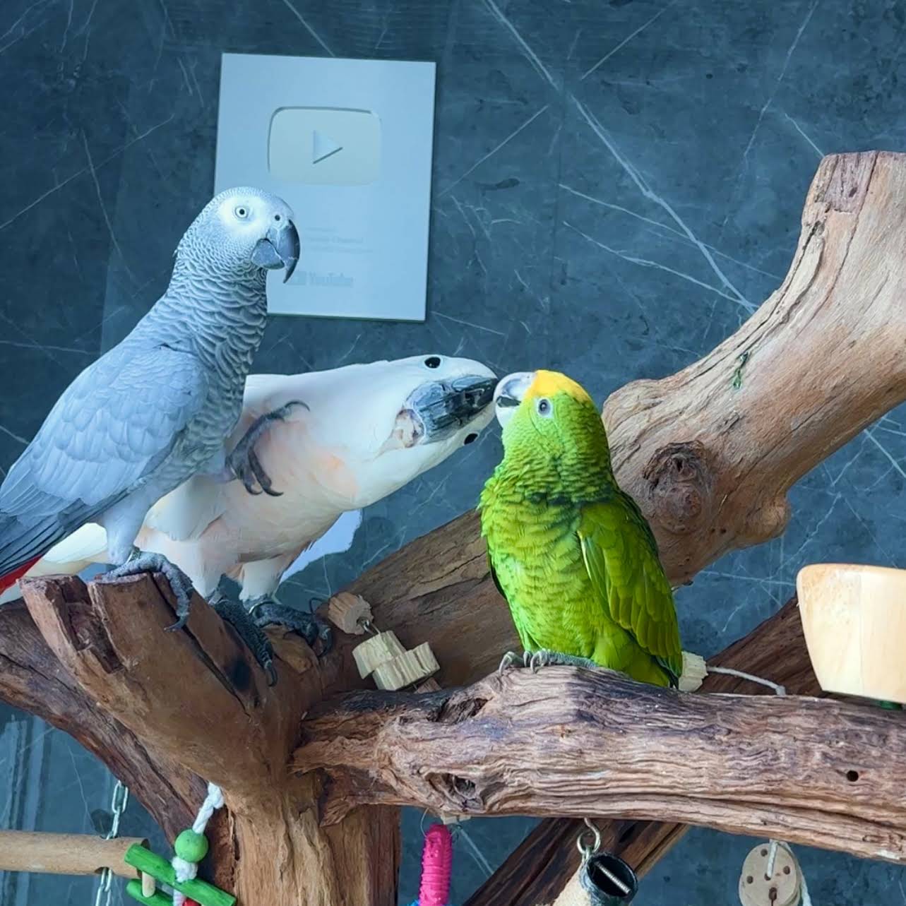 Post from Justin Family Channel