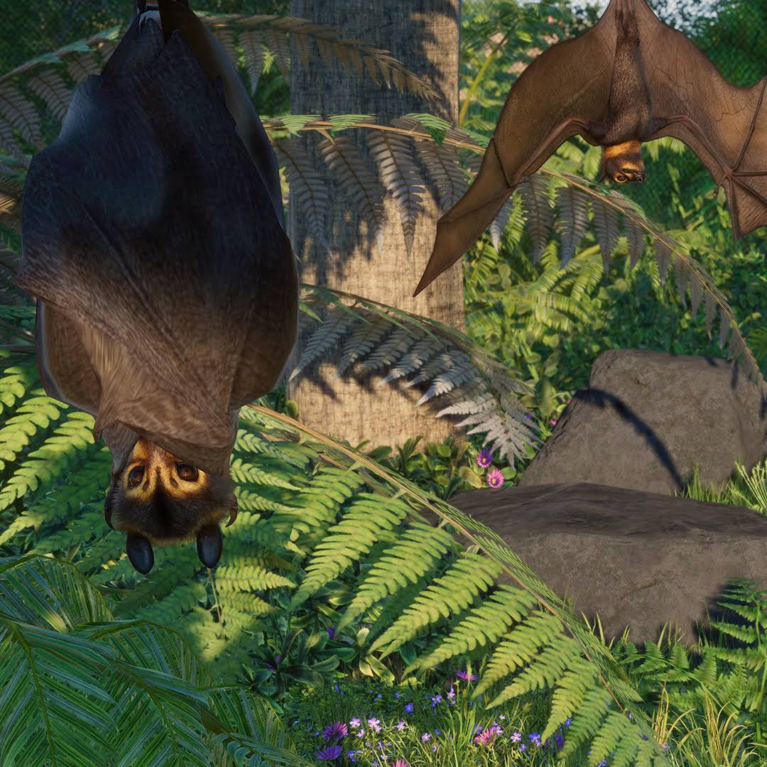 Post from Cesar Creates