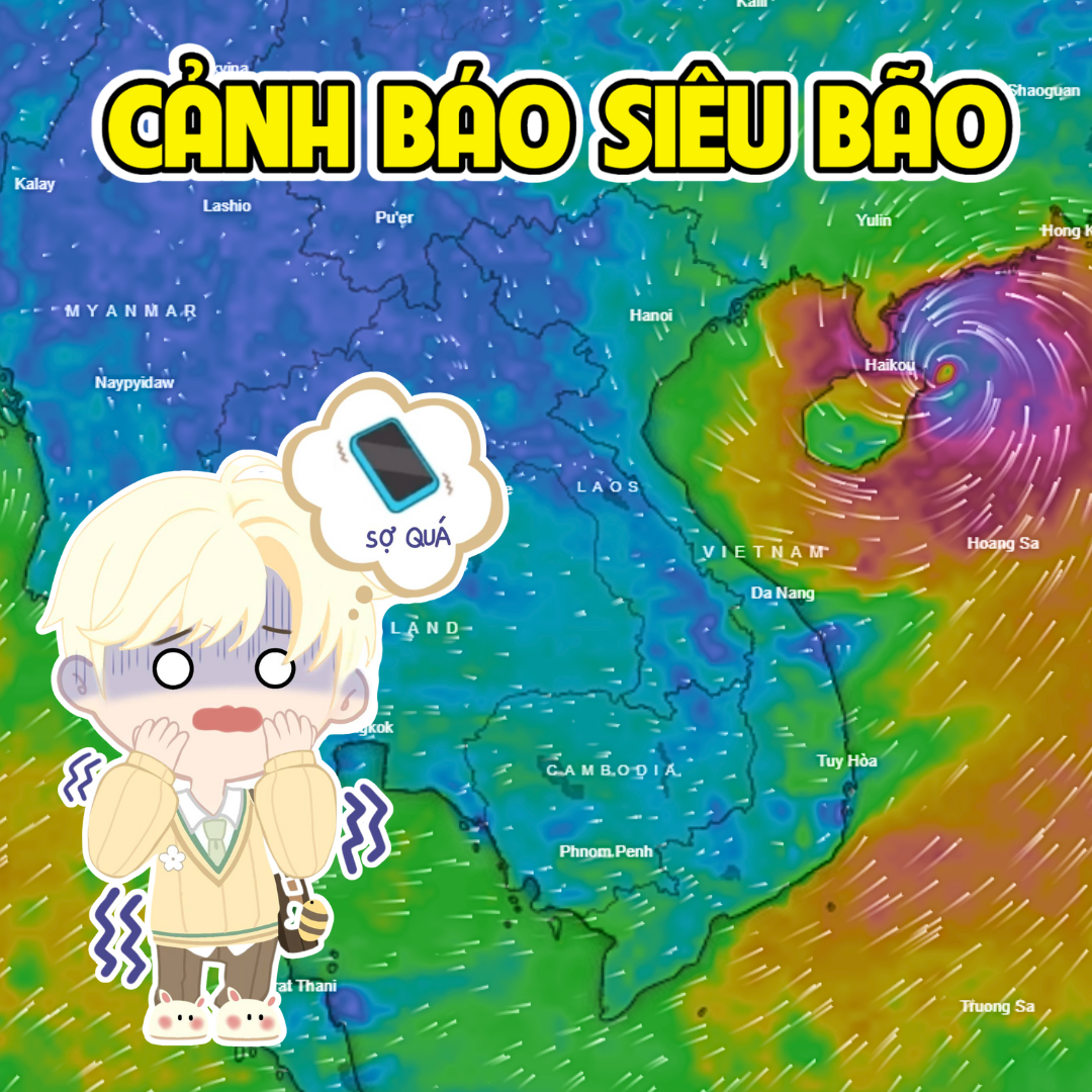 Post from BEDY TOGETHER