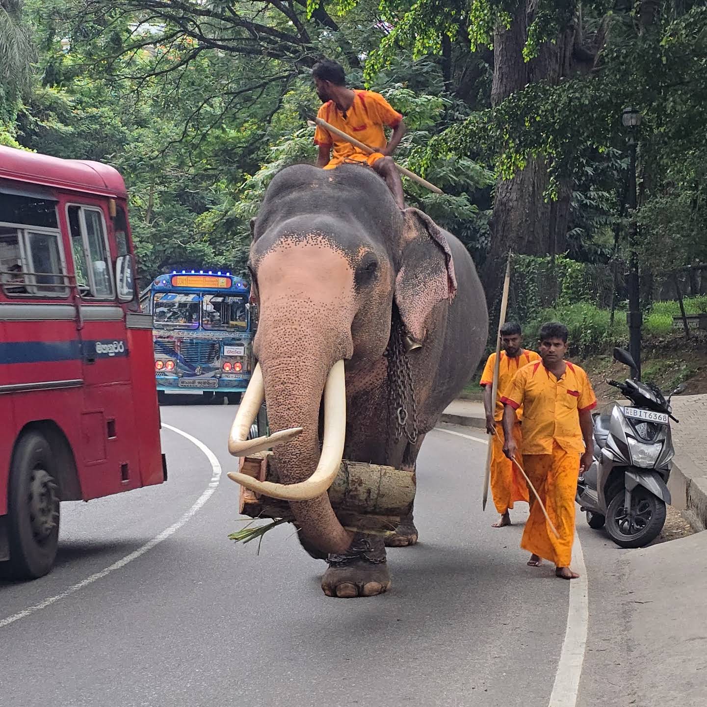 Post from MILLION STEPS IN KANDY