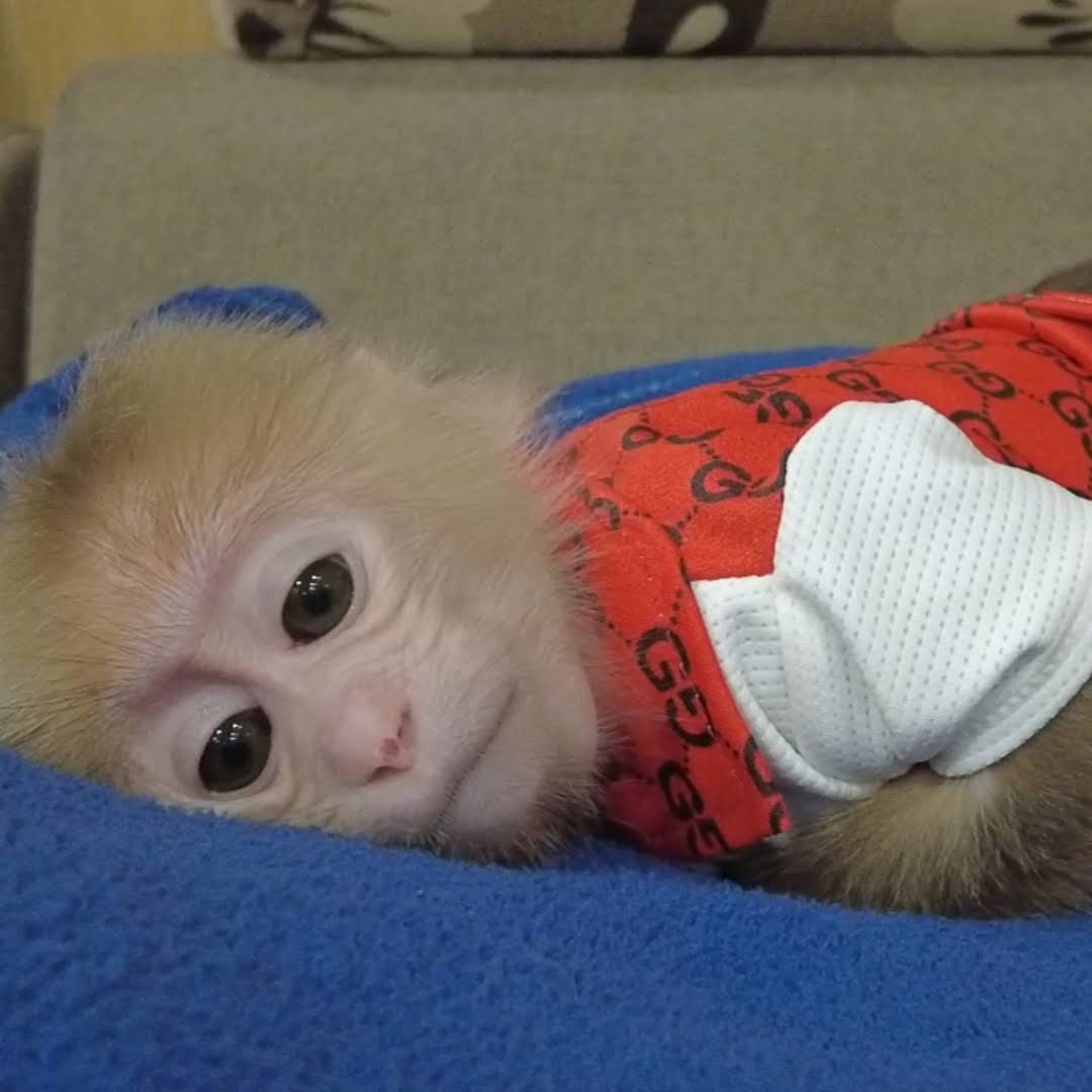 Post from Kiti Life TV