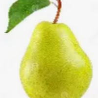 Poll from Pear guy_578