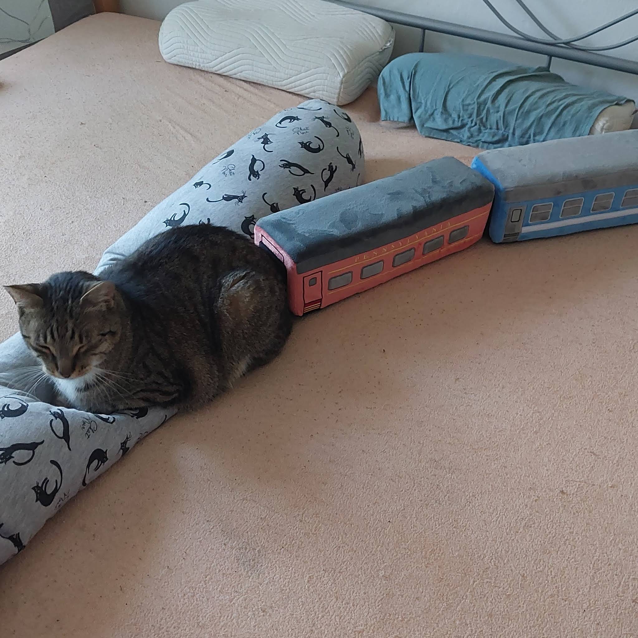 Post from Adam Something