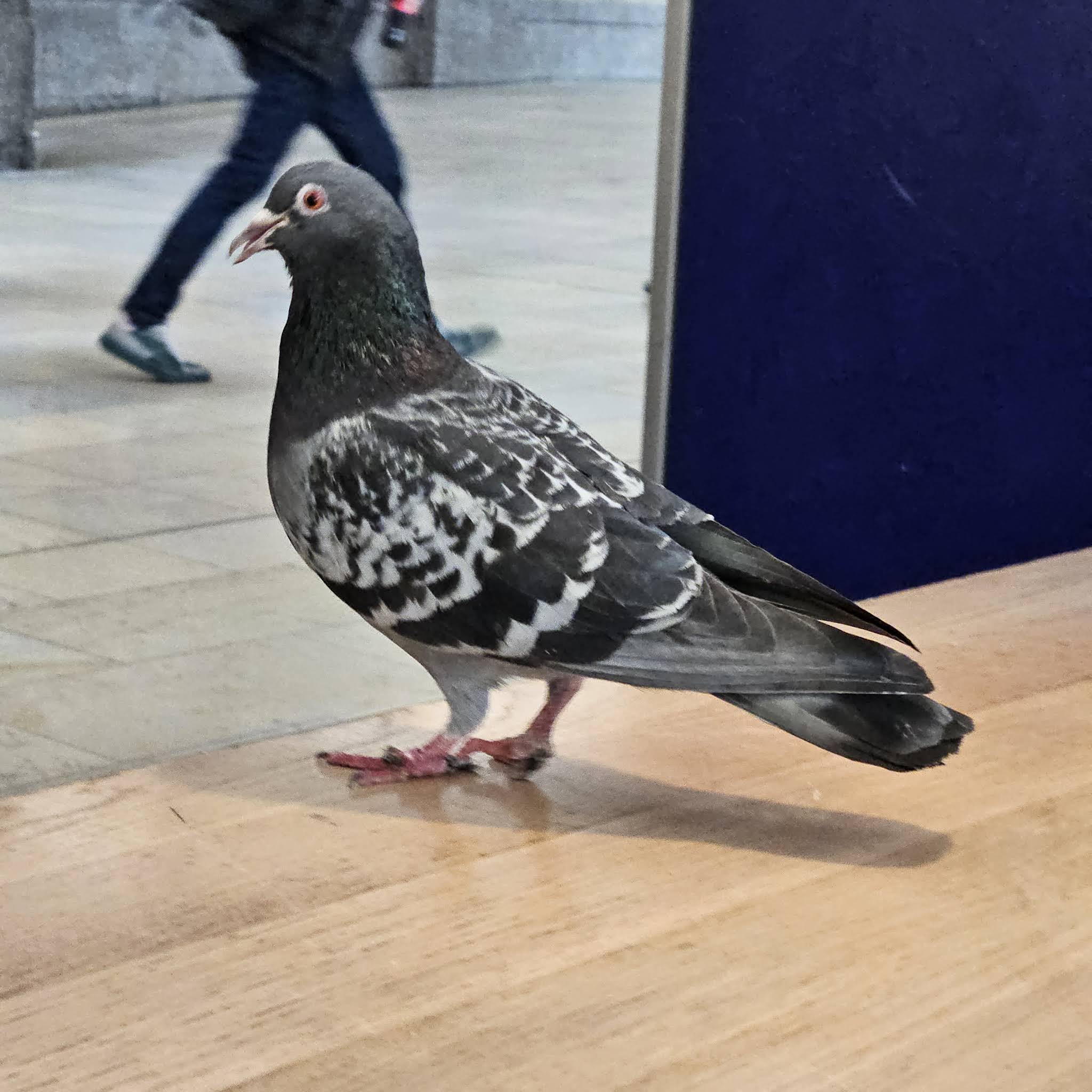 Post from SatchOnSims