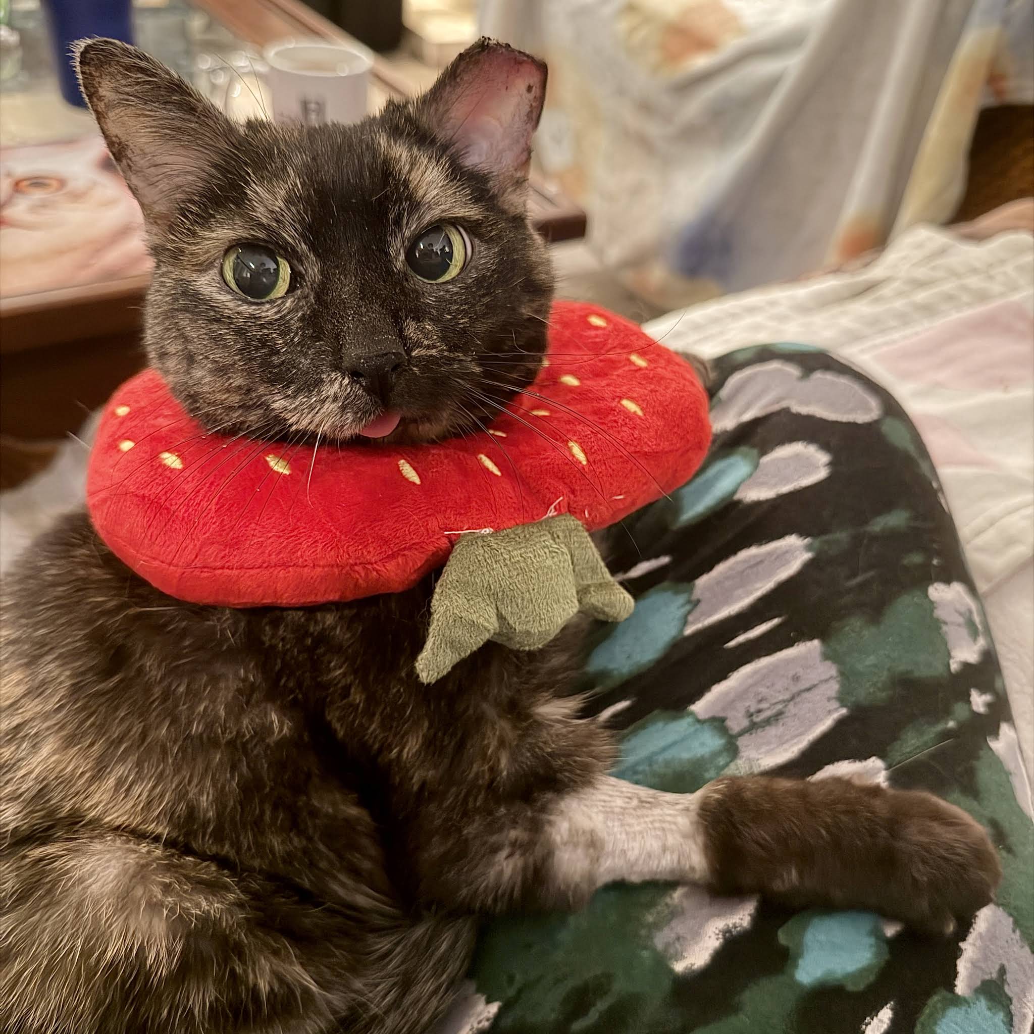 Post from Mauren | Cat Lady Tails