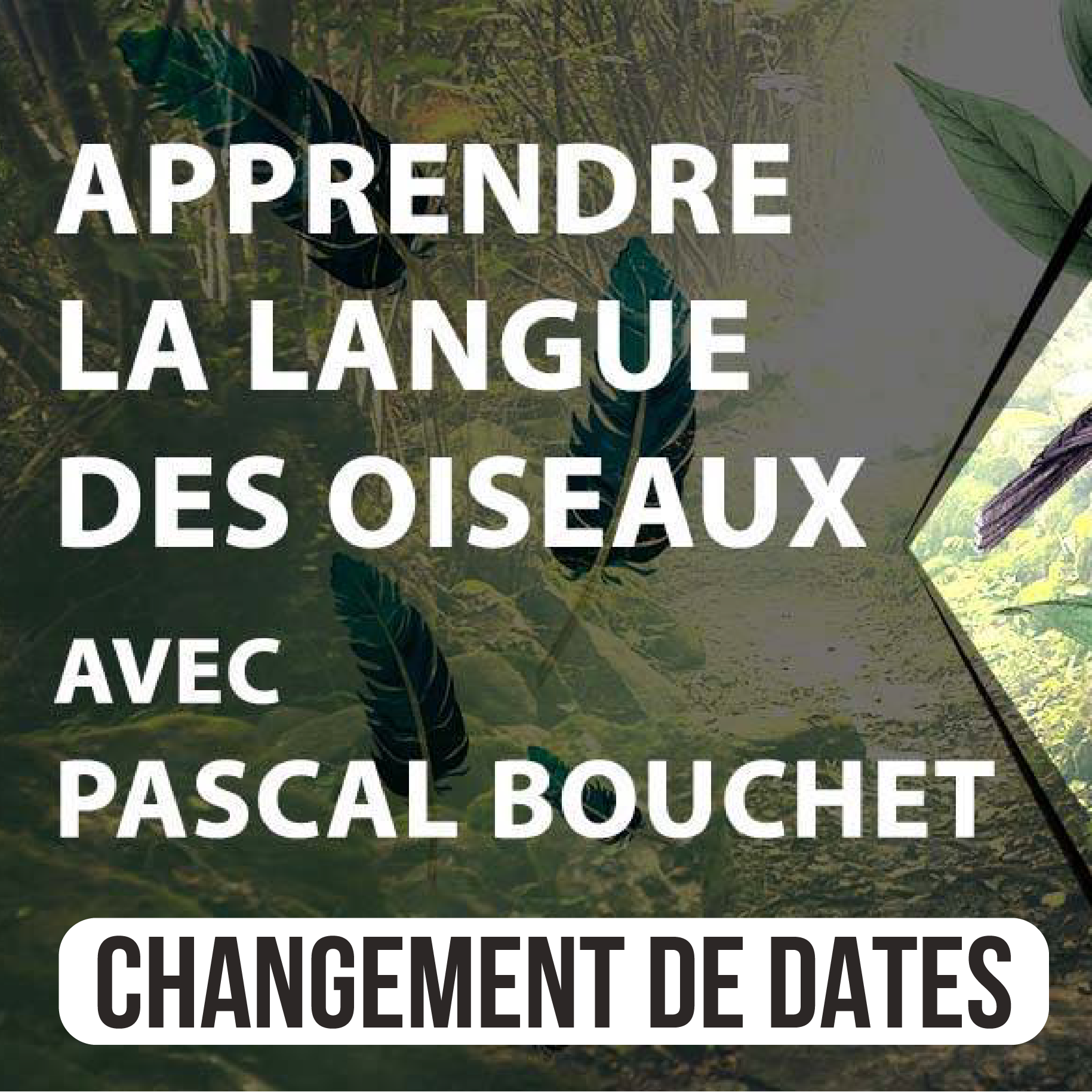 Post from Kurious Anima