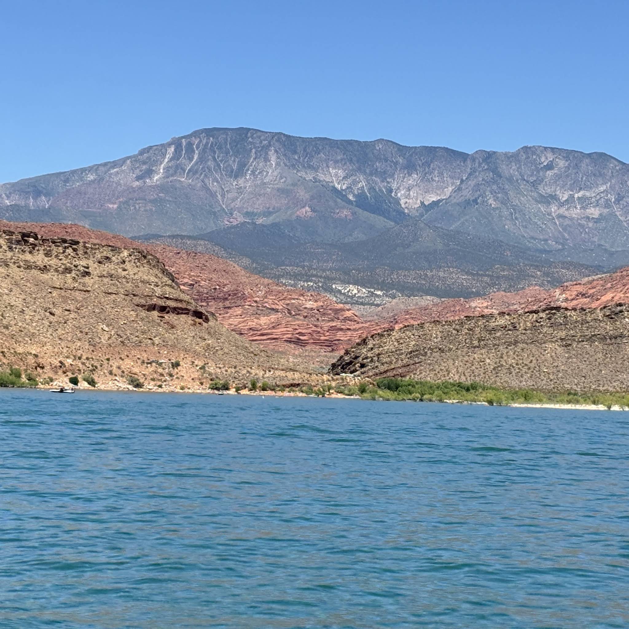 Post from Crime Time Buzz