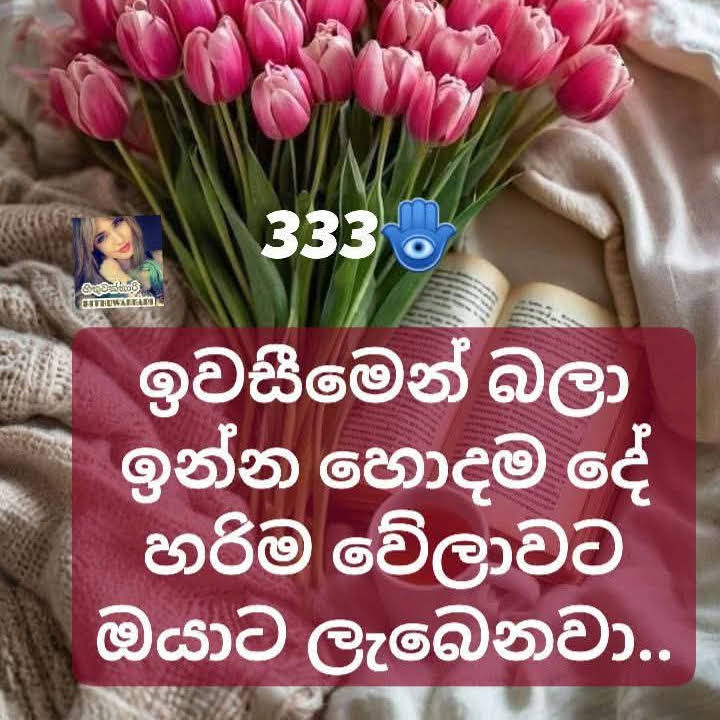 Post from Ayale 1111