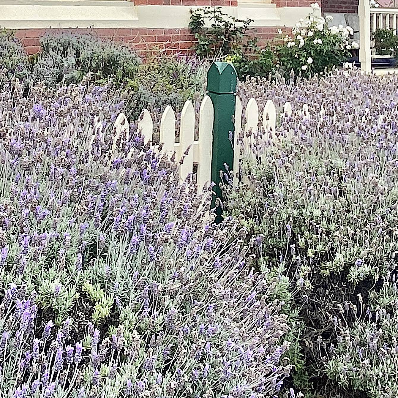 Post from Stephen Travers Art