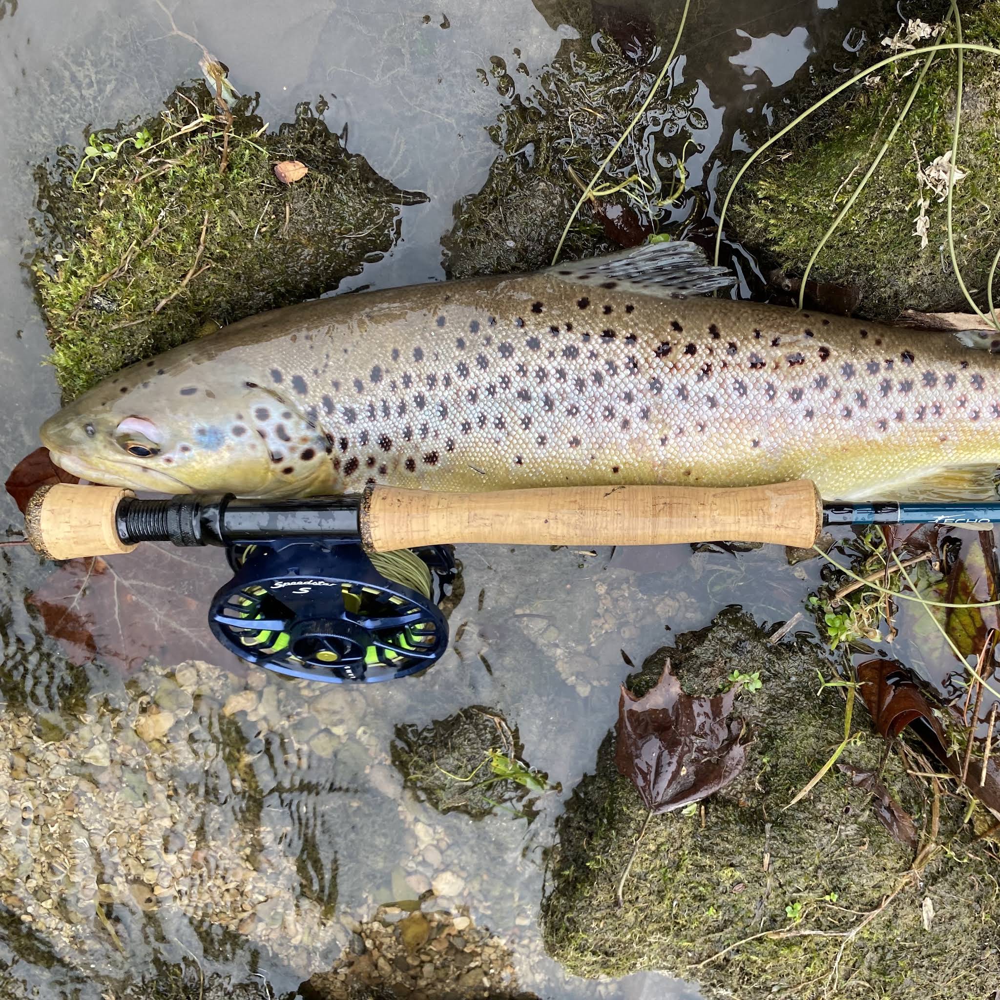 Post from MP Fishing