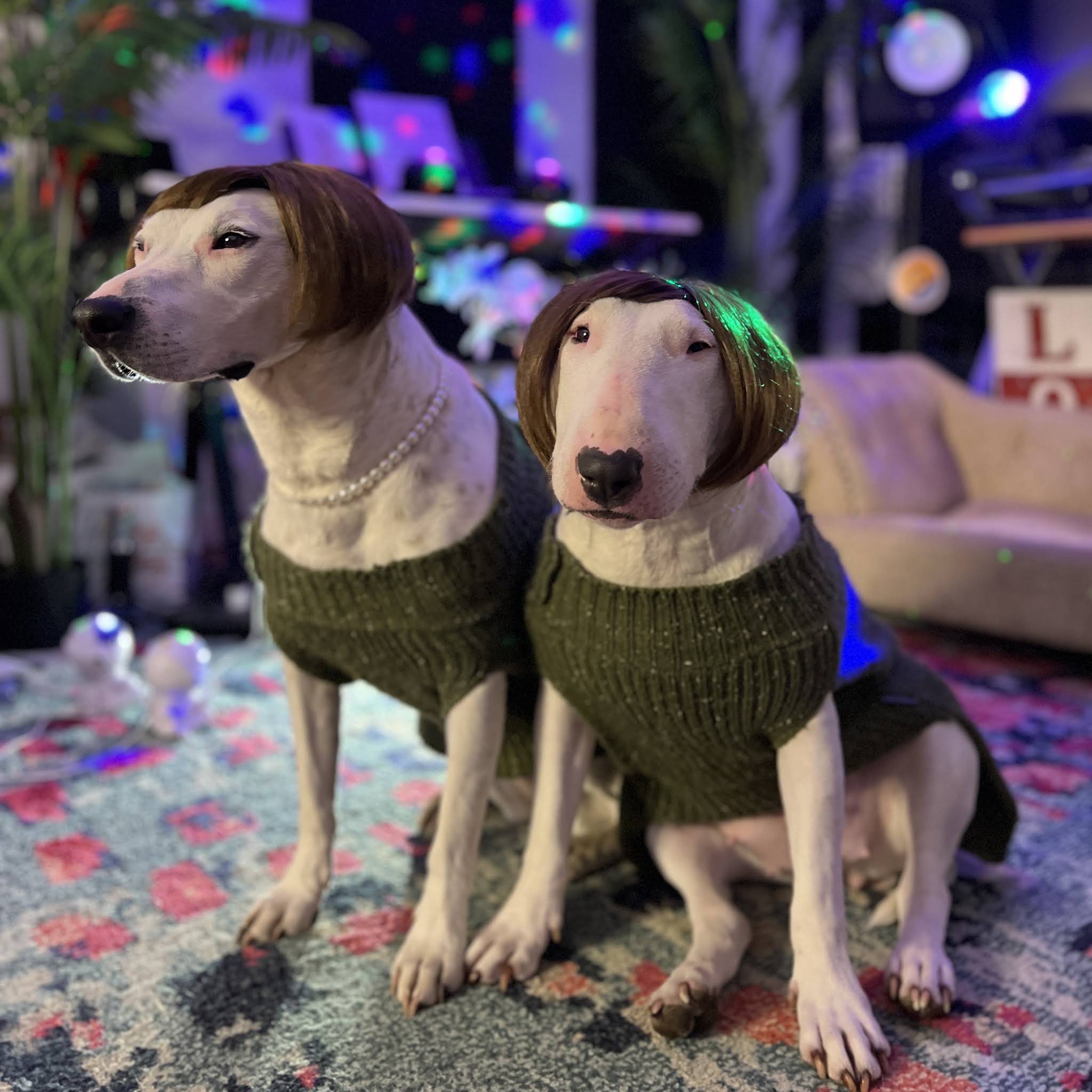 Post from MisterMainer