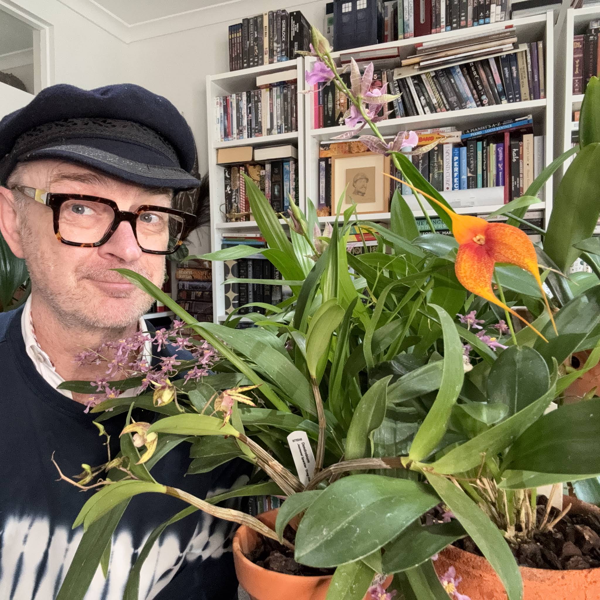 Post from Hello Plant Lovers!