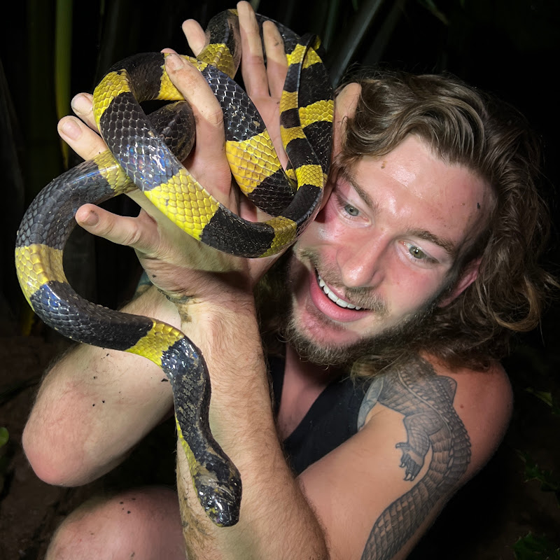 List of Top YouTubers in Arizona [2025]