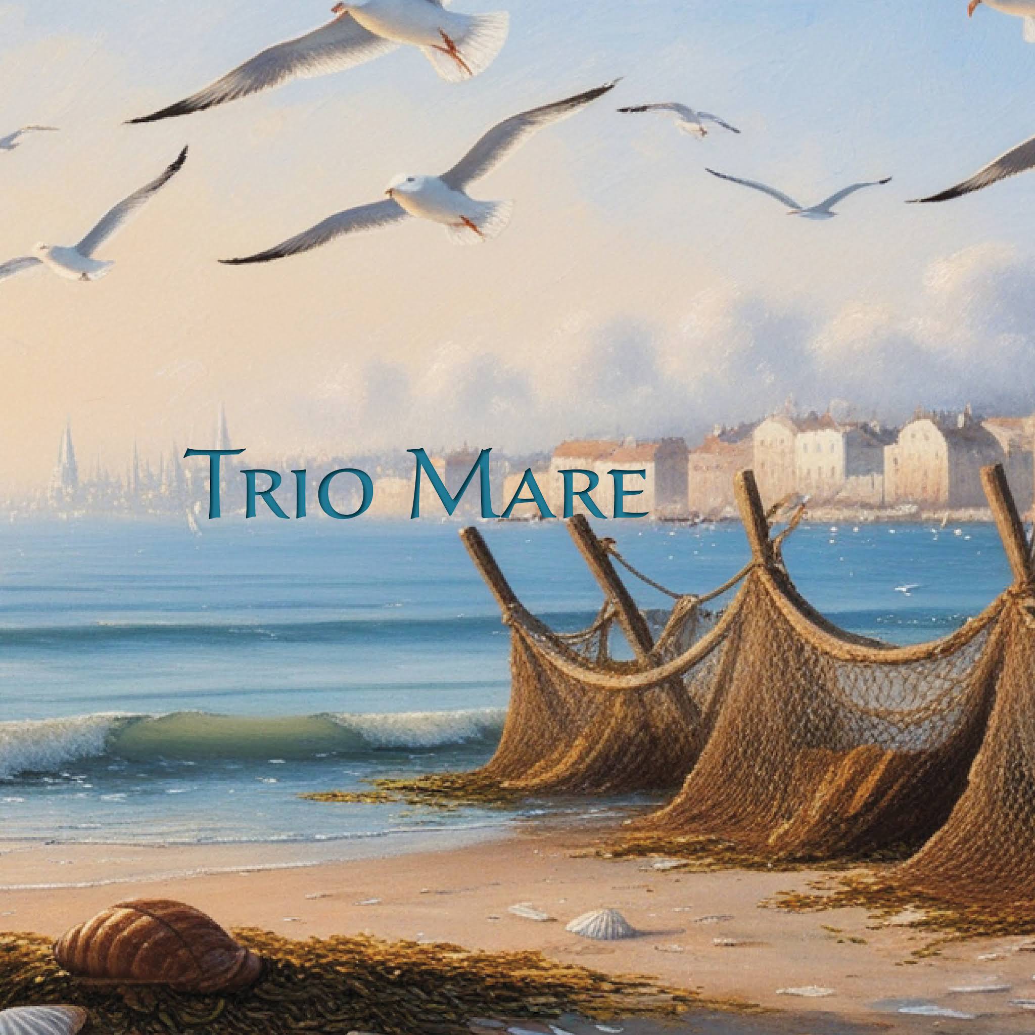 Post from trio mare band
