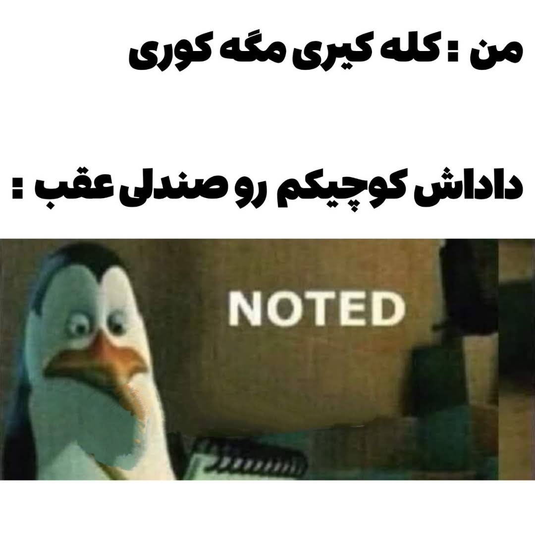 Post from Persian Shorts