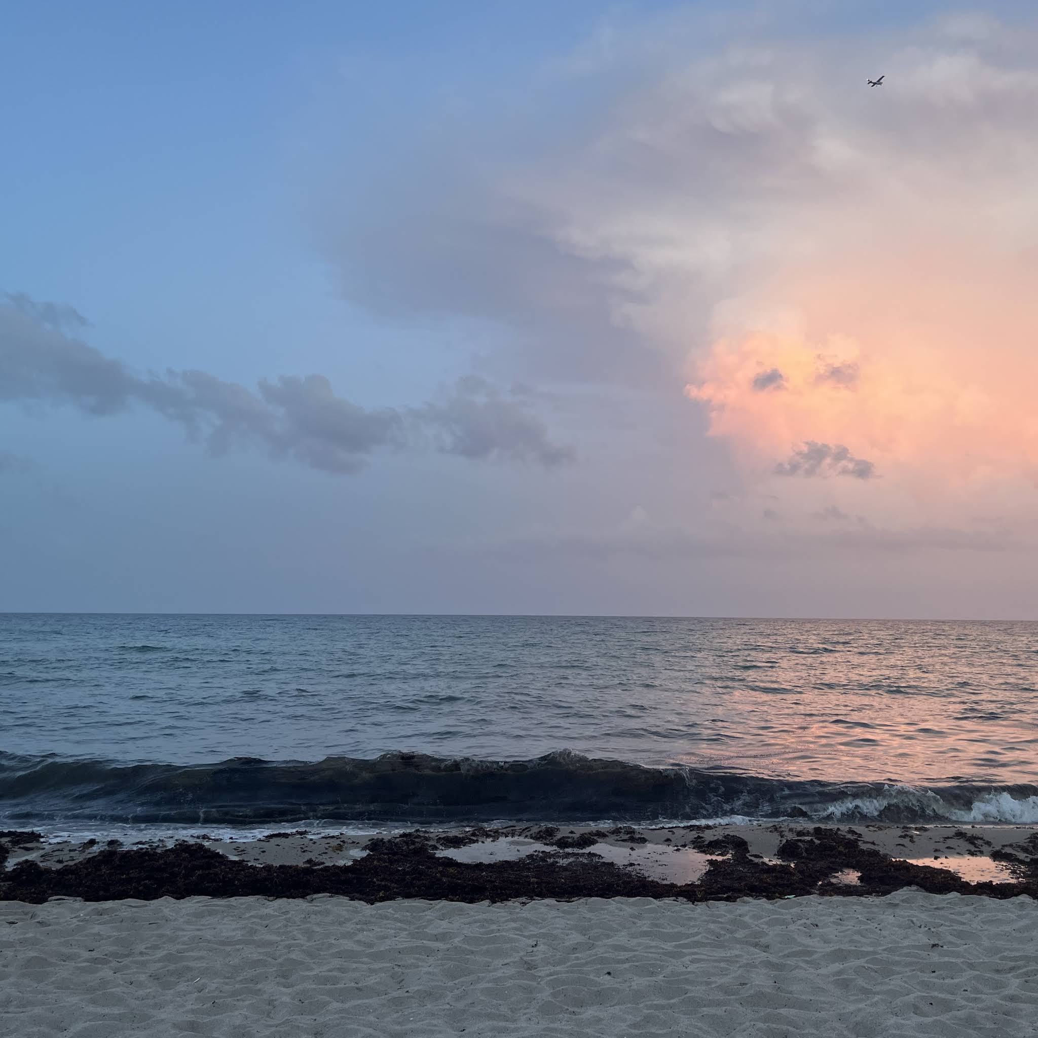 Post from Sebi the Friend Fox