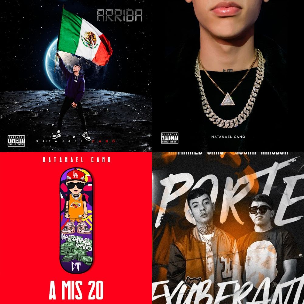 canciones de nata😍