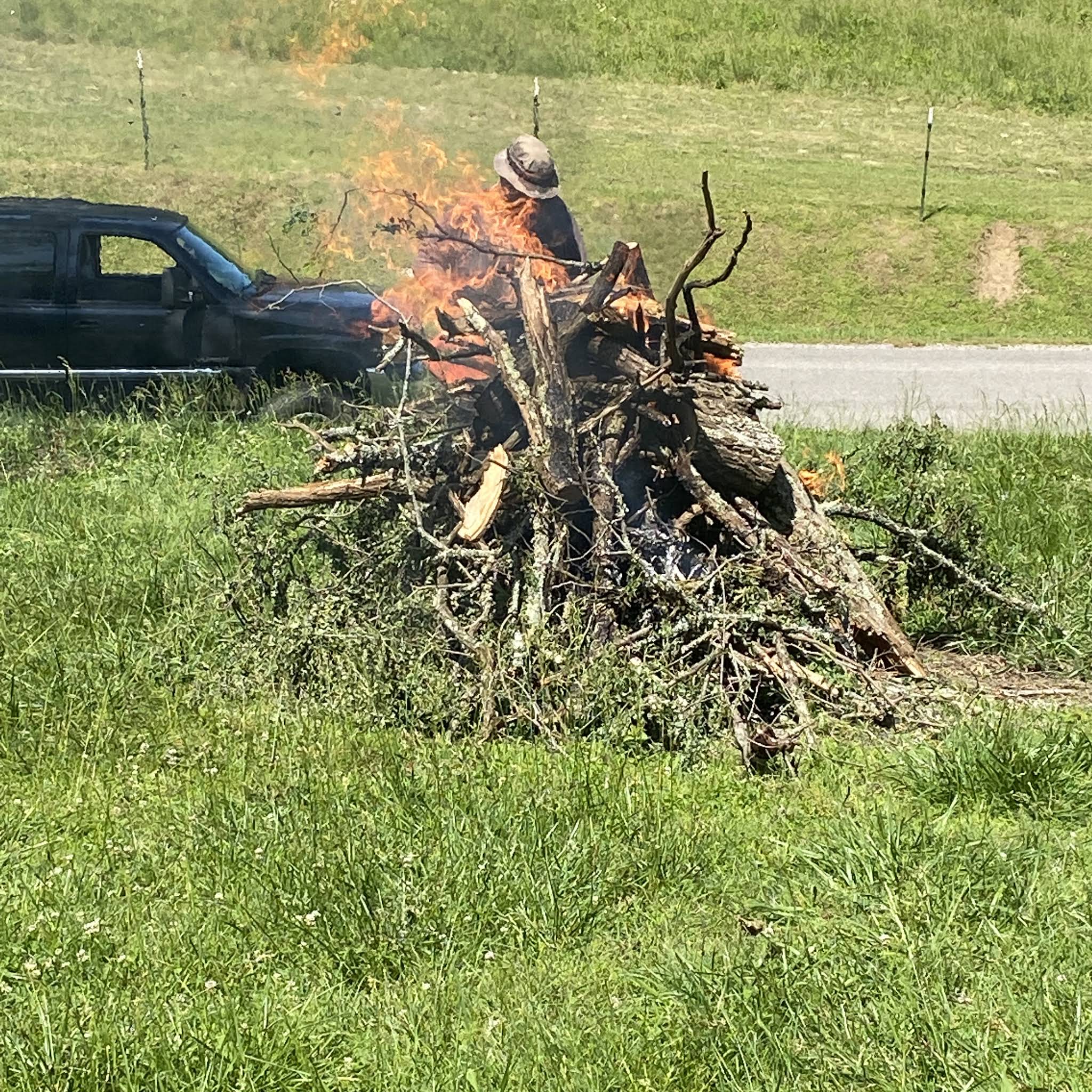 Post from Kaye Kittrell Late Bloomer