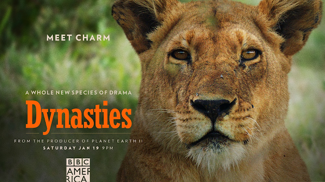 Watch BBC America online | YouTube TV (Free Trial)