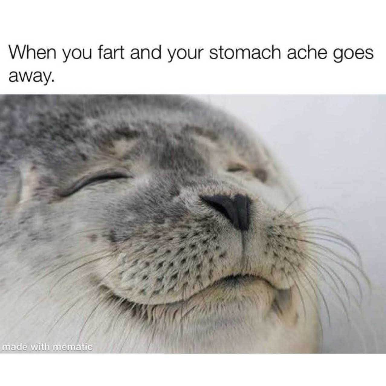 Post from Connor Pugs