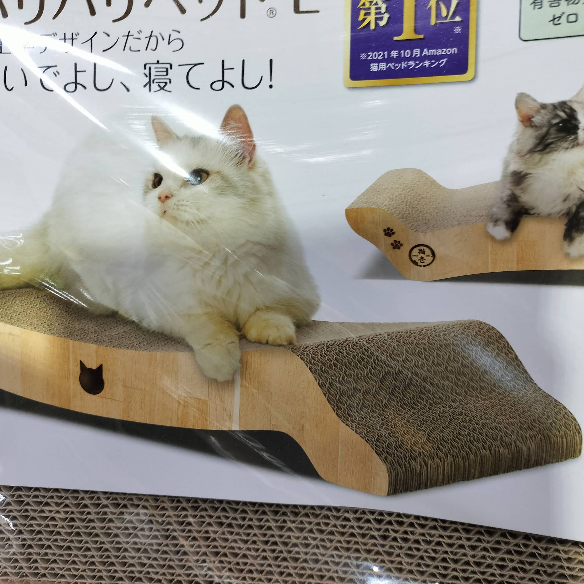 Post from 田上(たがみ)猫(トム)。Tagami cat(Tom)