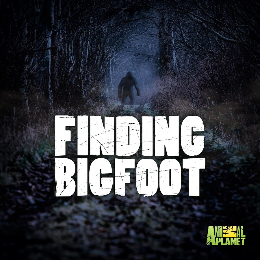 Finding Bigfoot - YouTube
