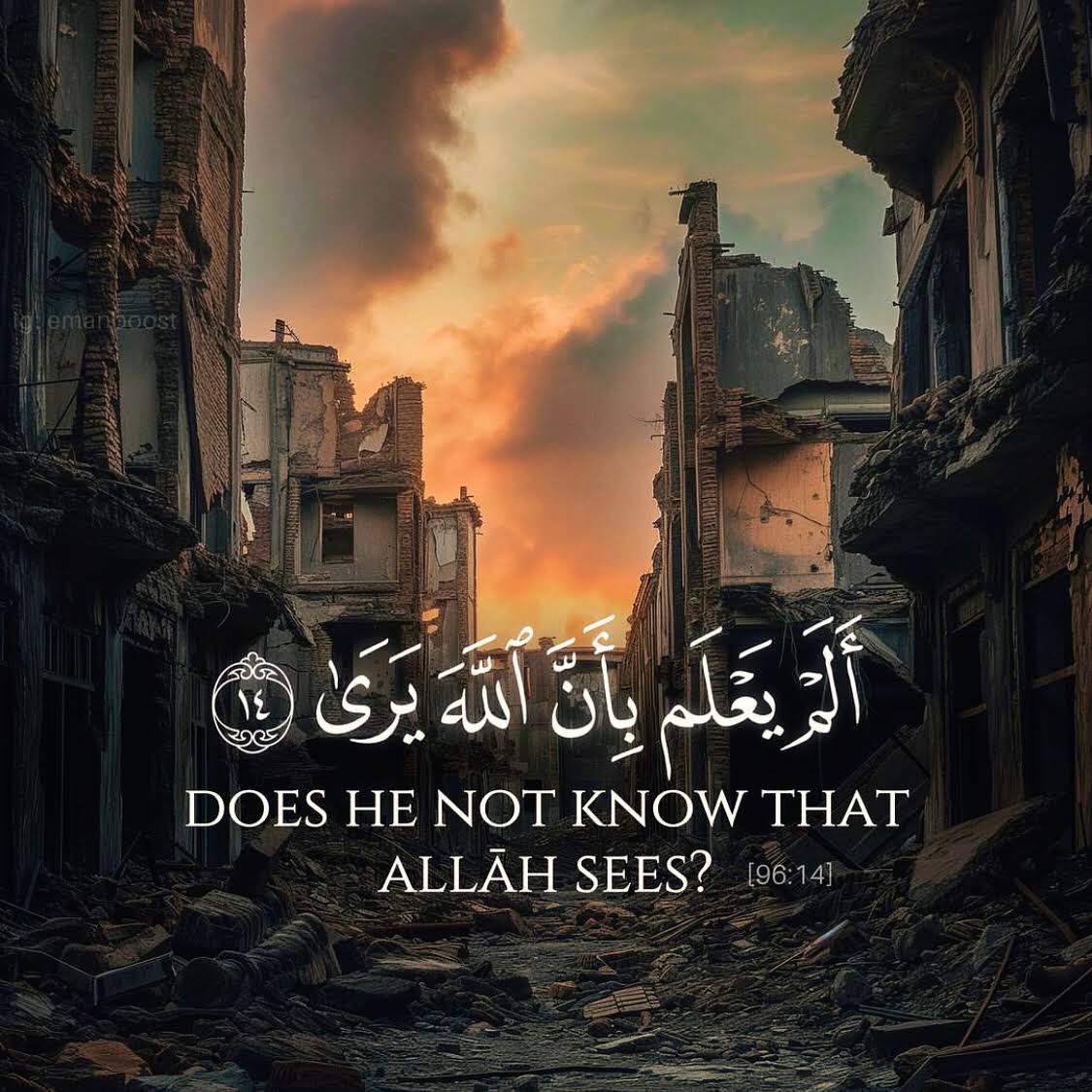 Post from Have Sabr