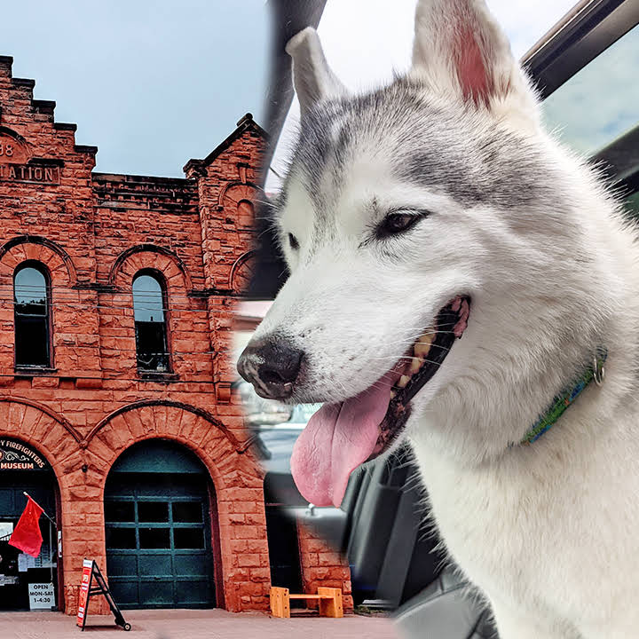 Post from Snow Dogs Vlogs