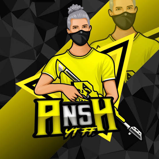 Post from Ansh Gamer 44