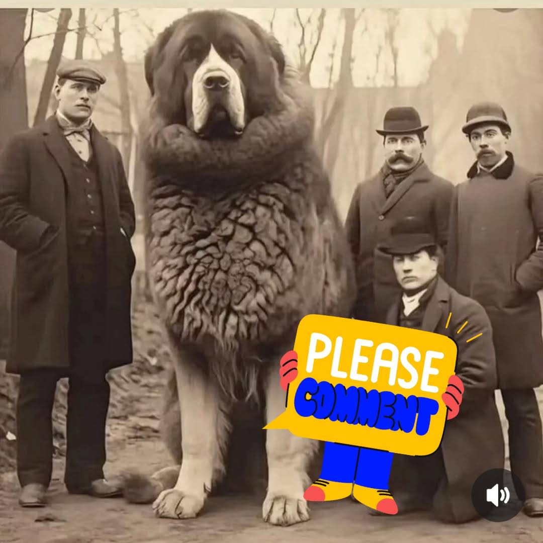 Post from Bobby Sant