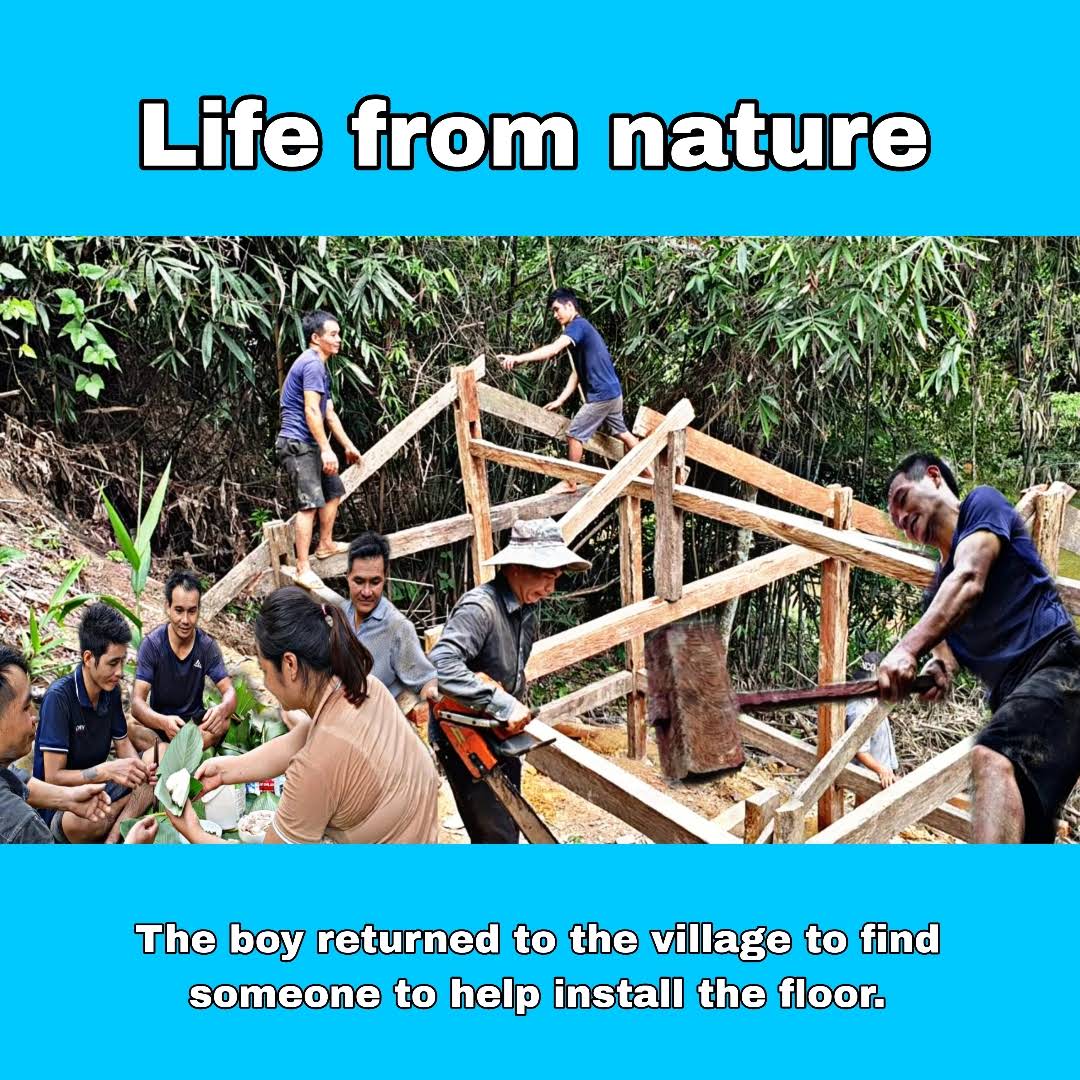 Post from Life from nature