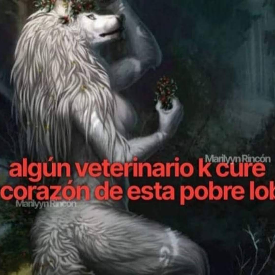 Post from Itonly sorem