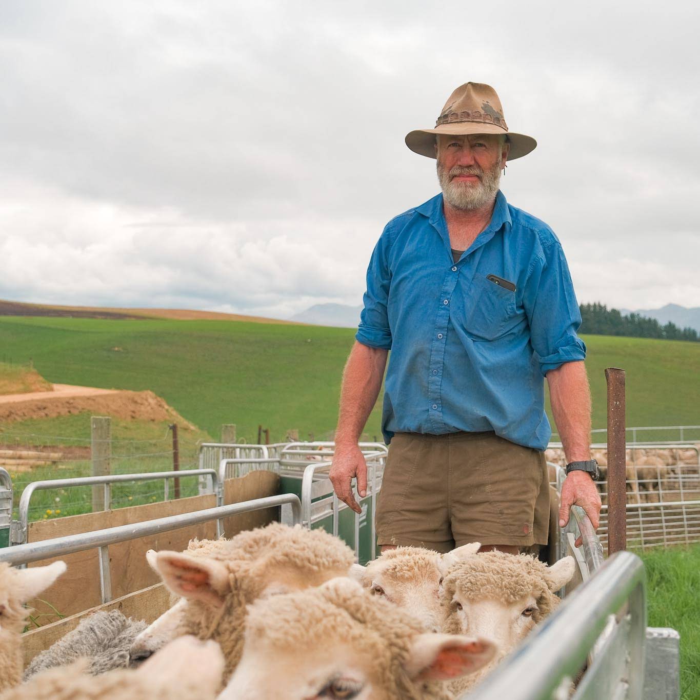 Post from Te Pari Products Ltd