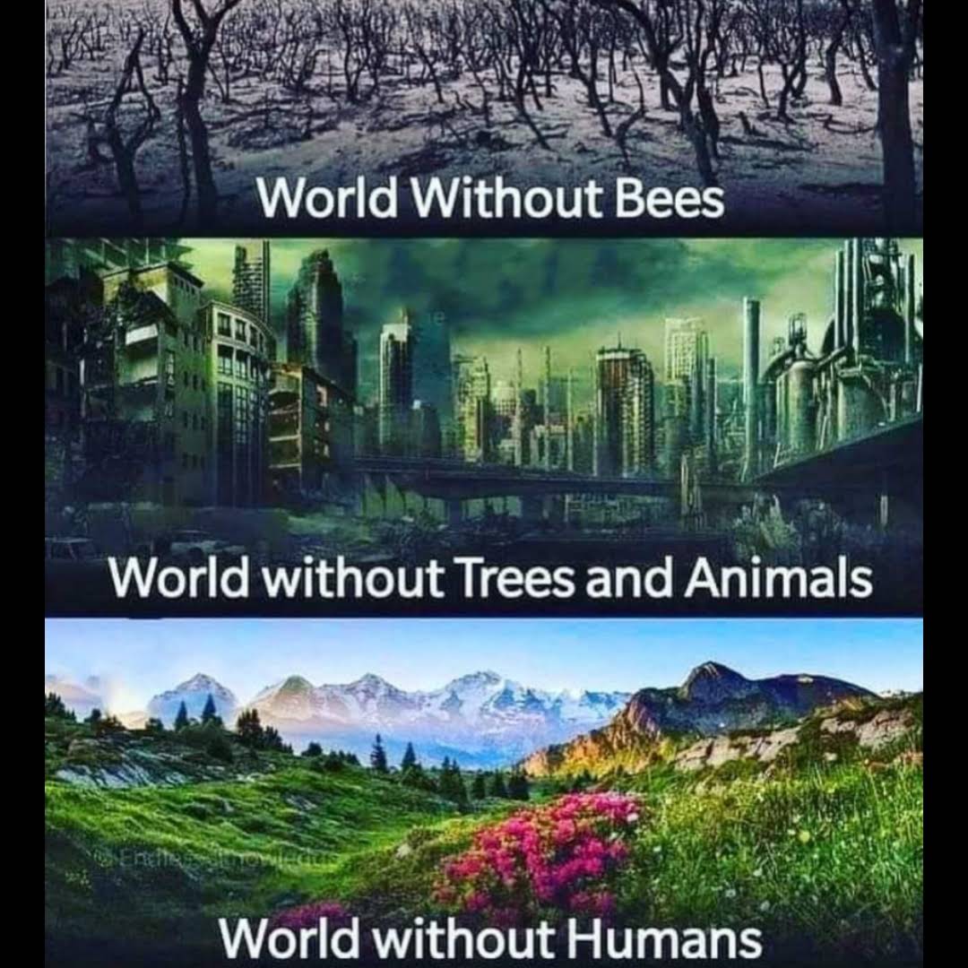 Post from 4biddenknowledge Podcast Network