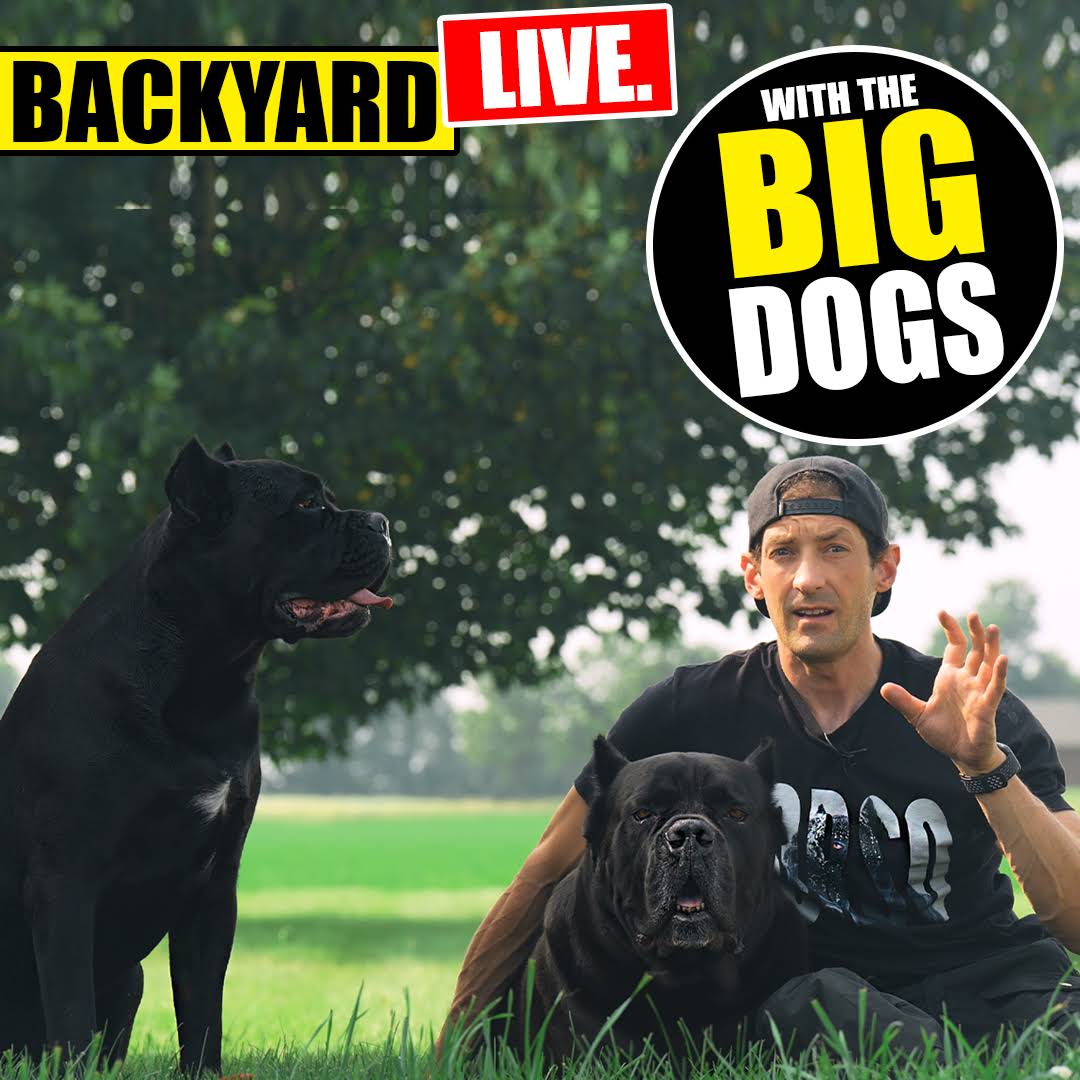 Post from Jason Corey