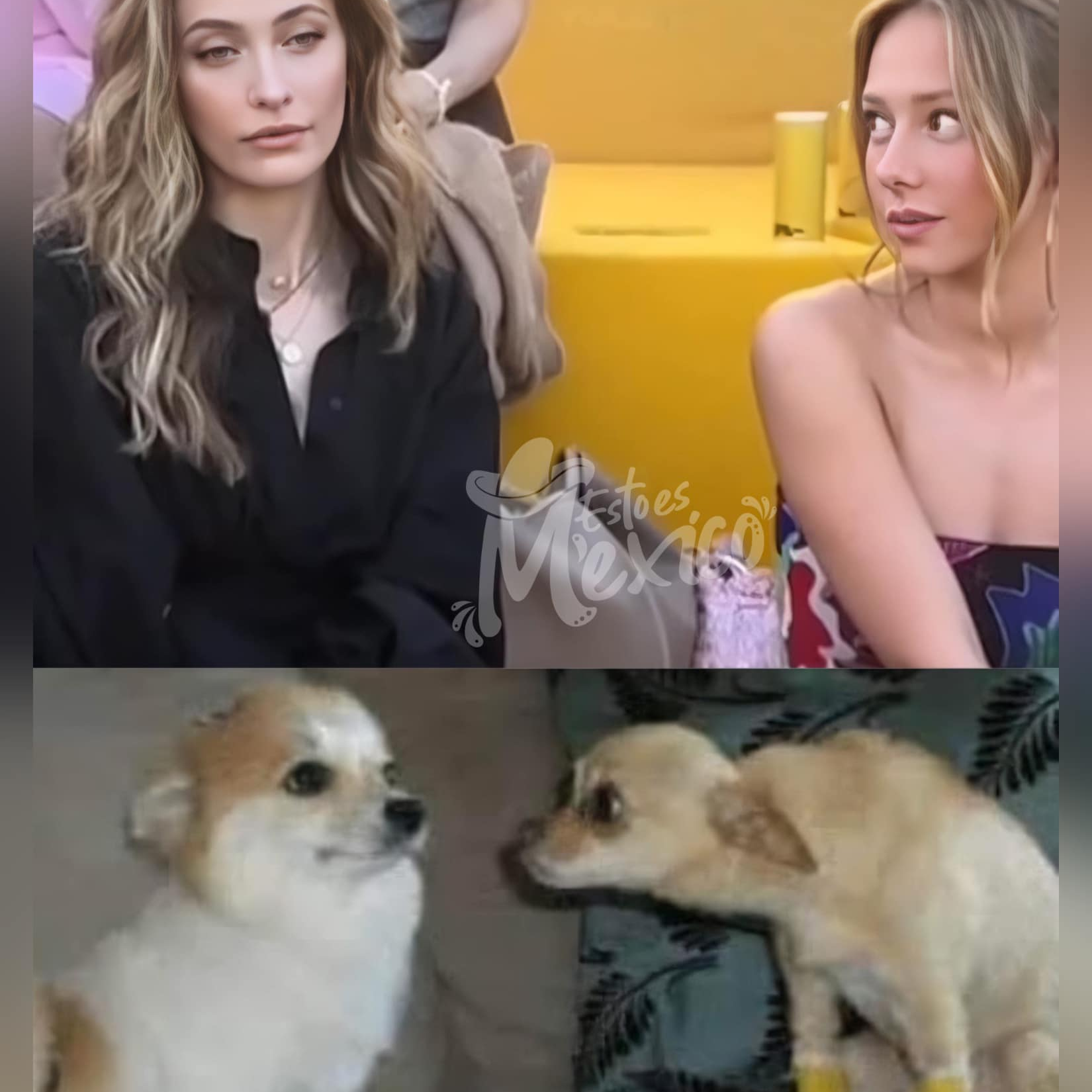 Post from Zapping Top