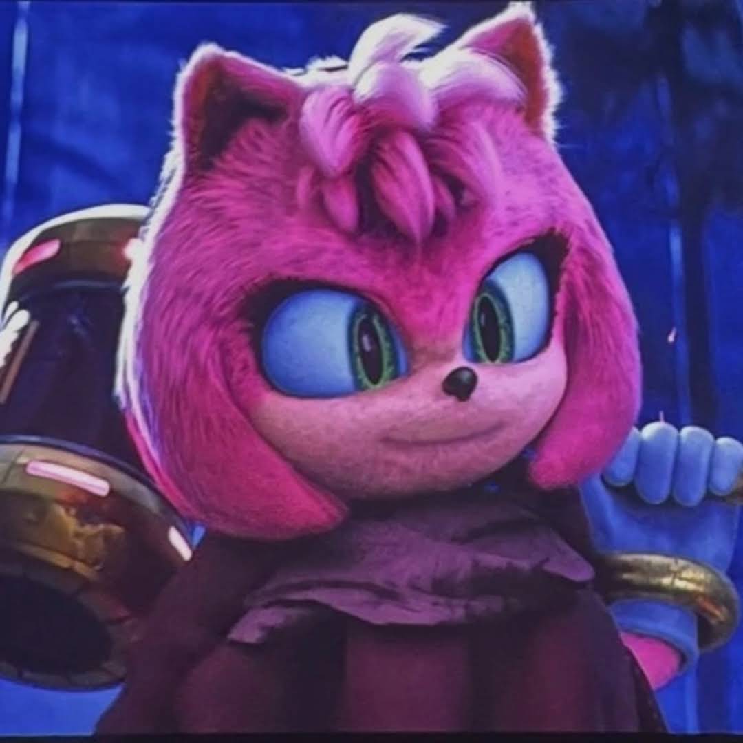 Post from Rogue & Sonic
