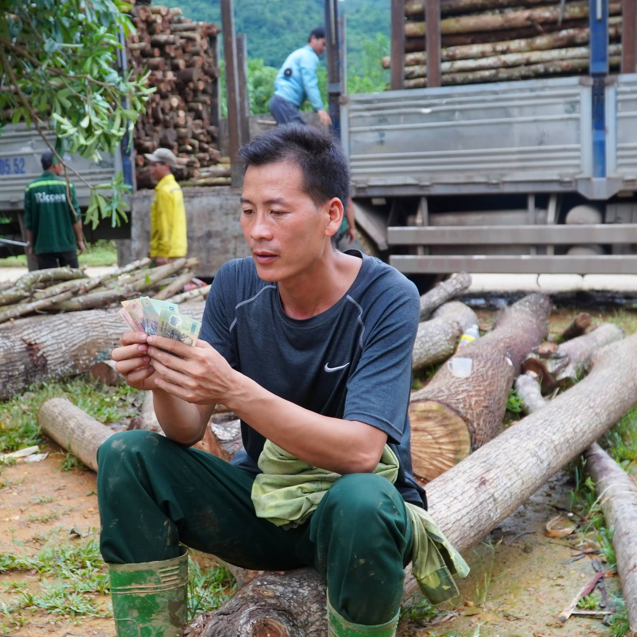 Post from Triệu Mi Nhi