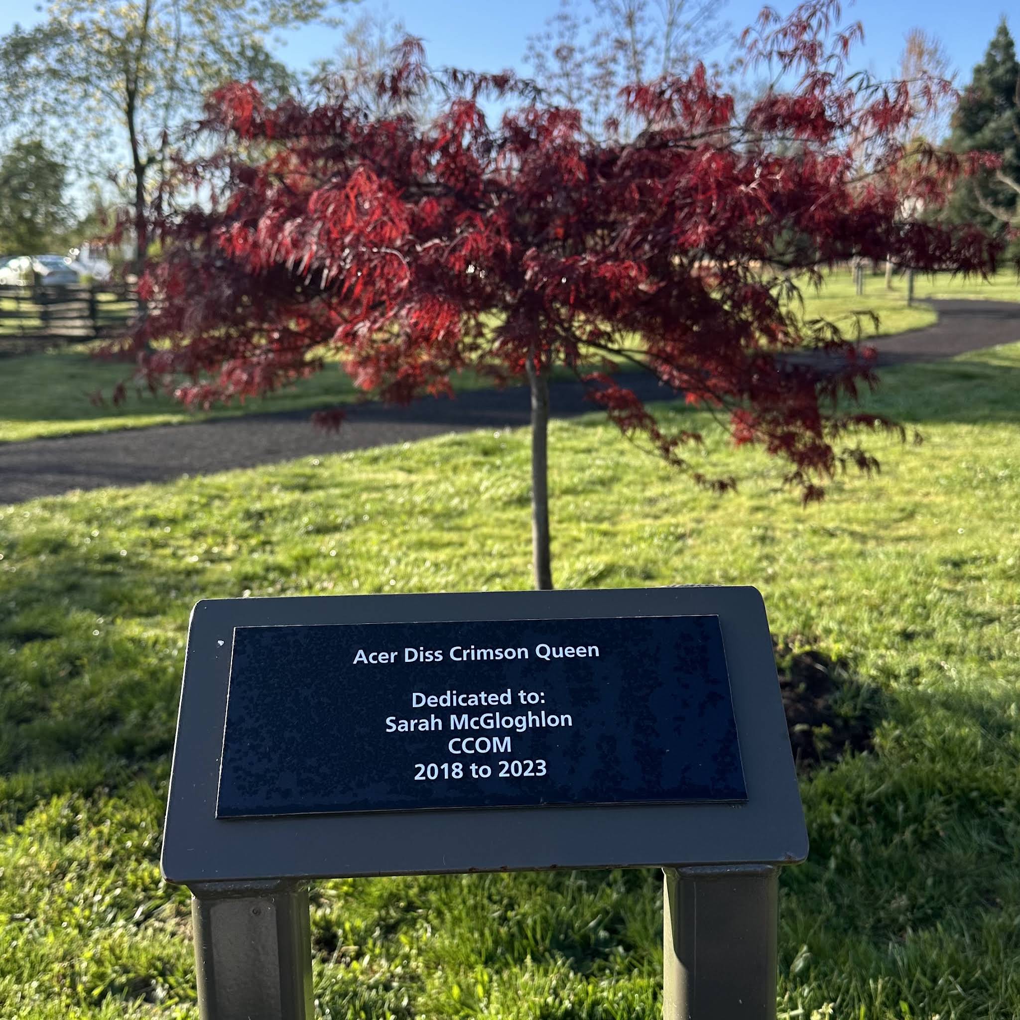 Post from POG Family