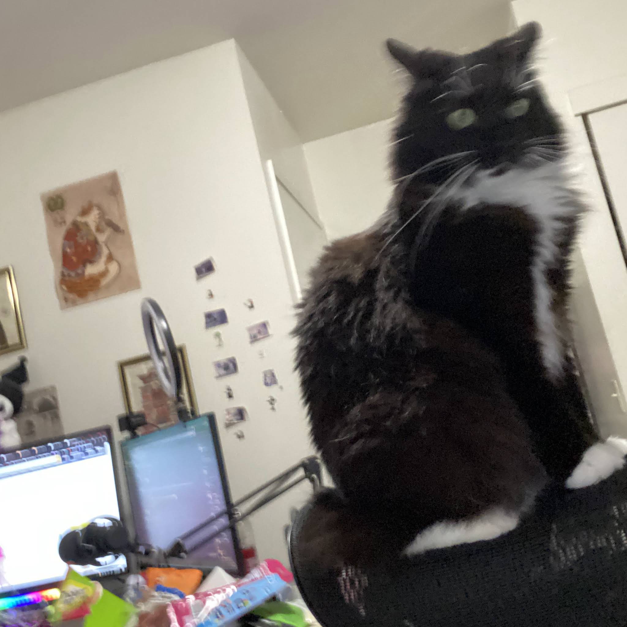 Post from sarriebearrie