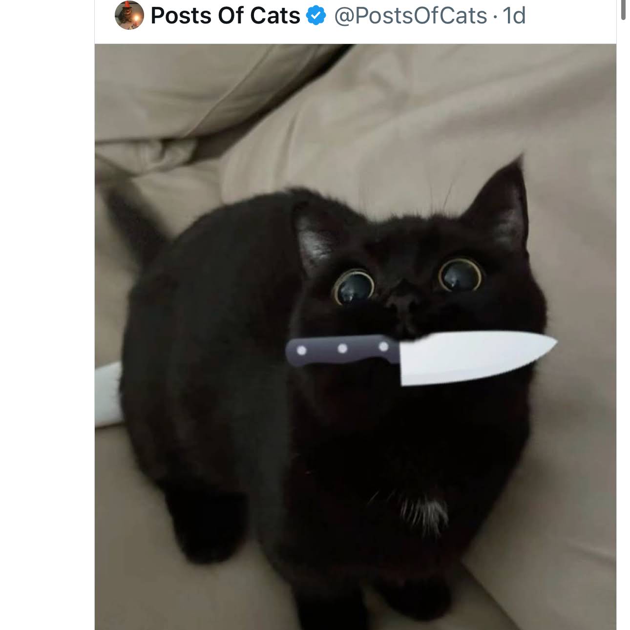 Post from Cosmo Whispers ASMR