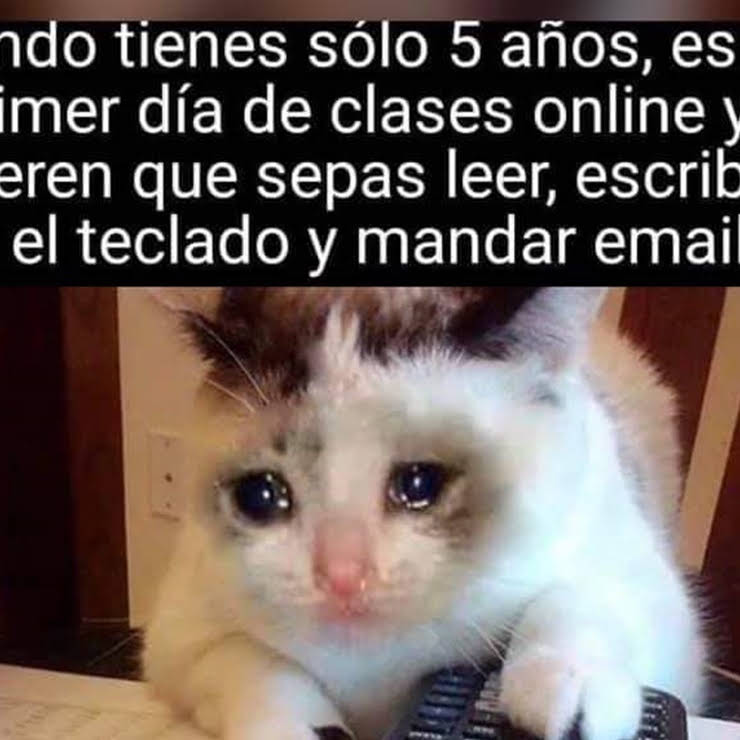 Post from Oniel BoySoft XD!