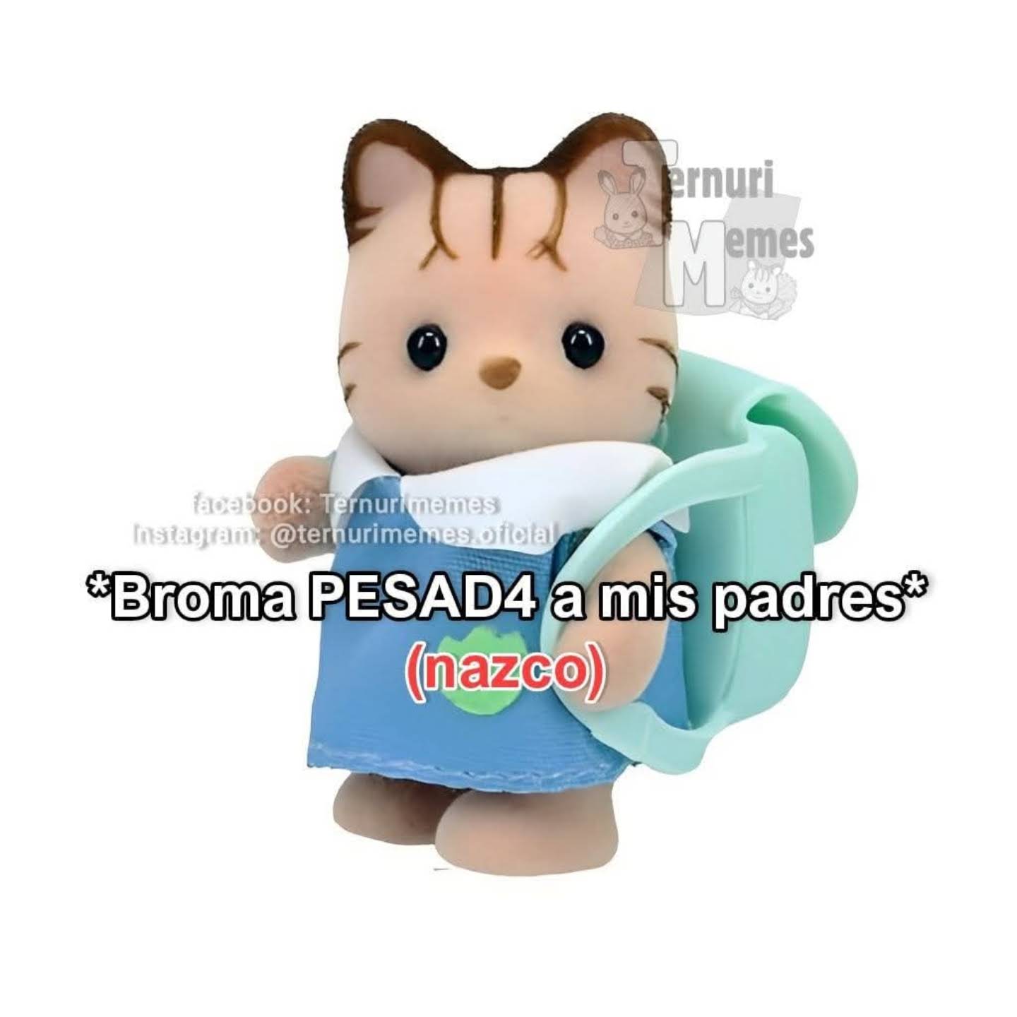 Post from SnowFlake Freak