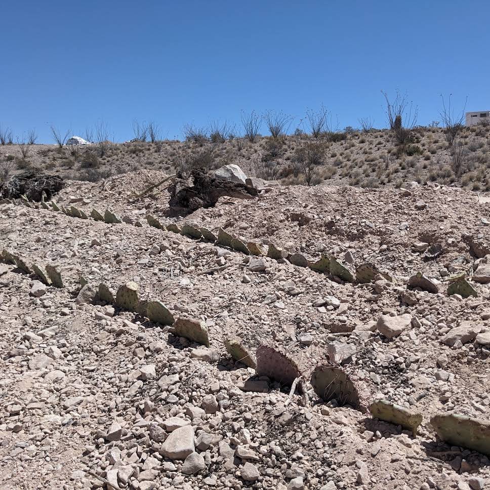 Post from Shaun Overton | DUSTUPS