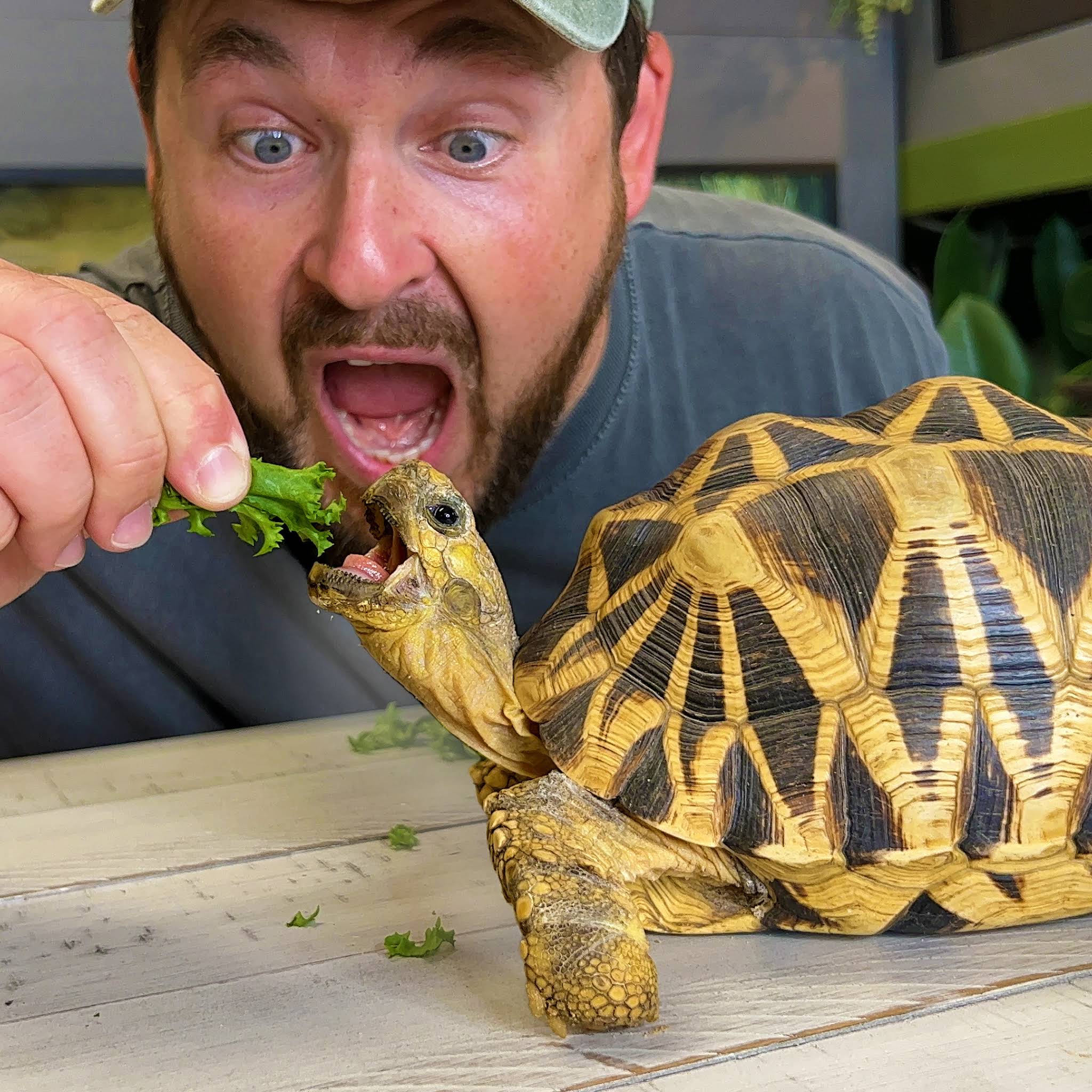 Post from Garden State Tortoise