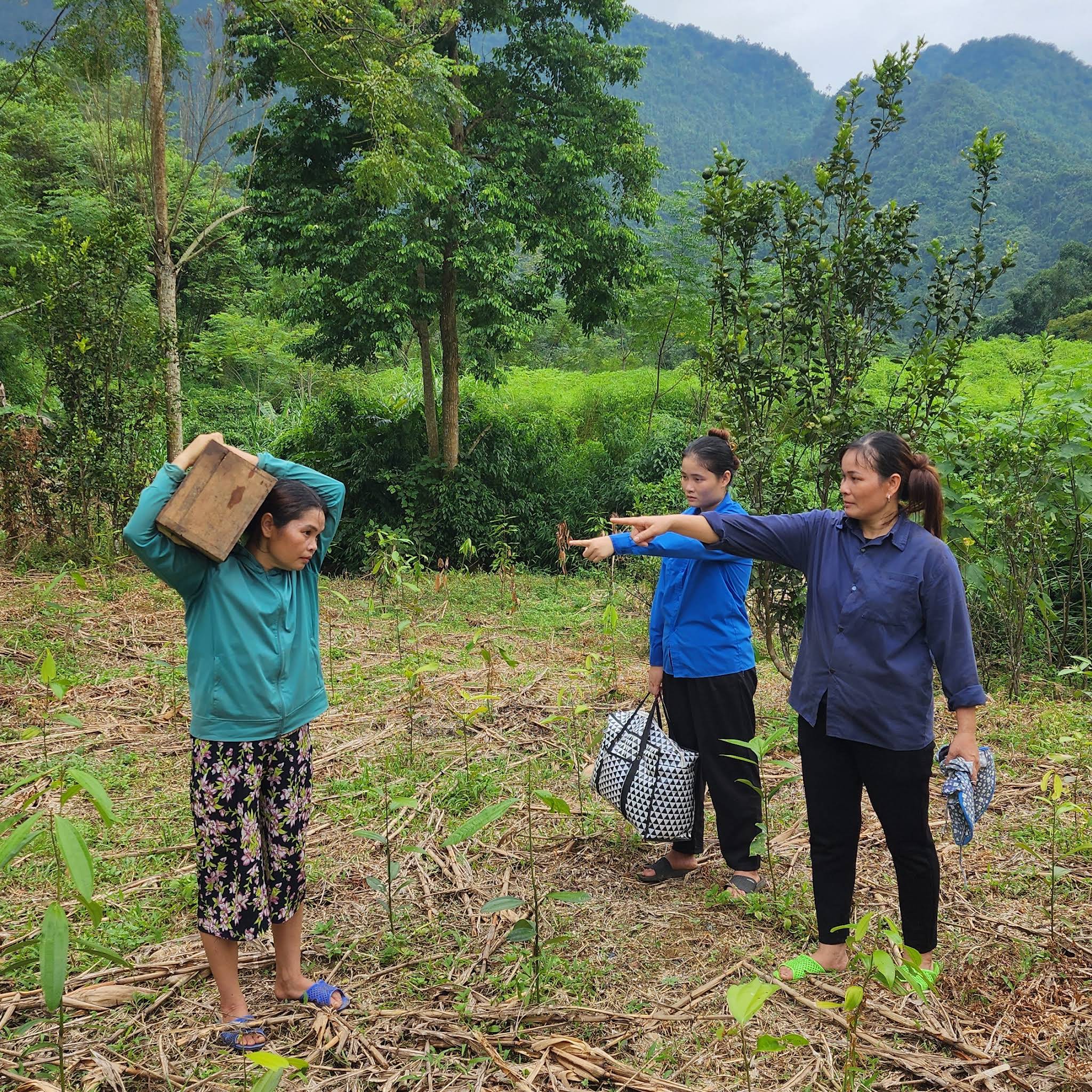 Post from Ho Dung - mountain life