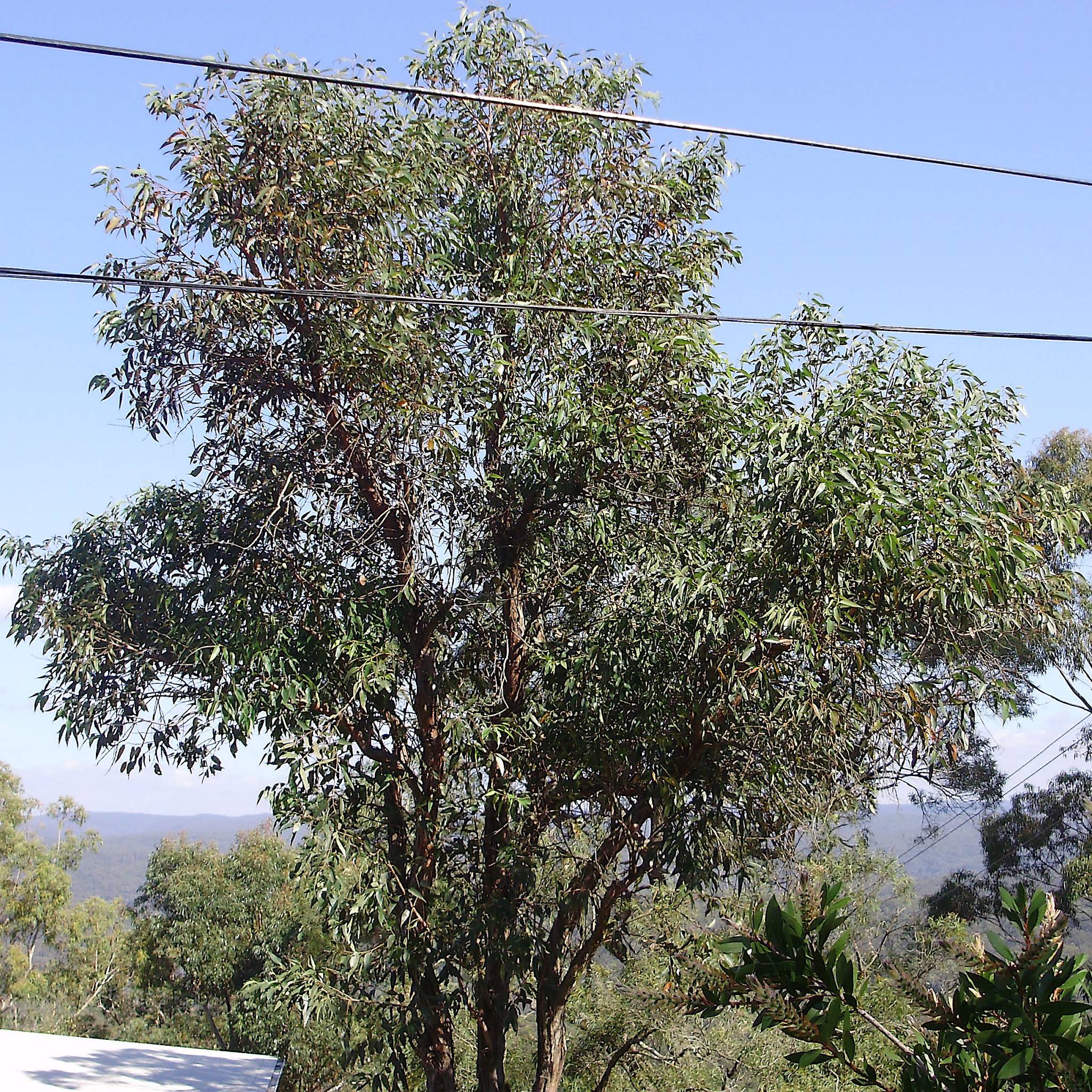 Post from Stephen Travers Art