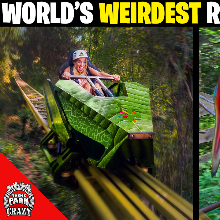 Post from Theme Park Crazy