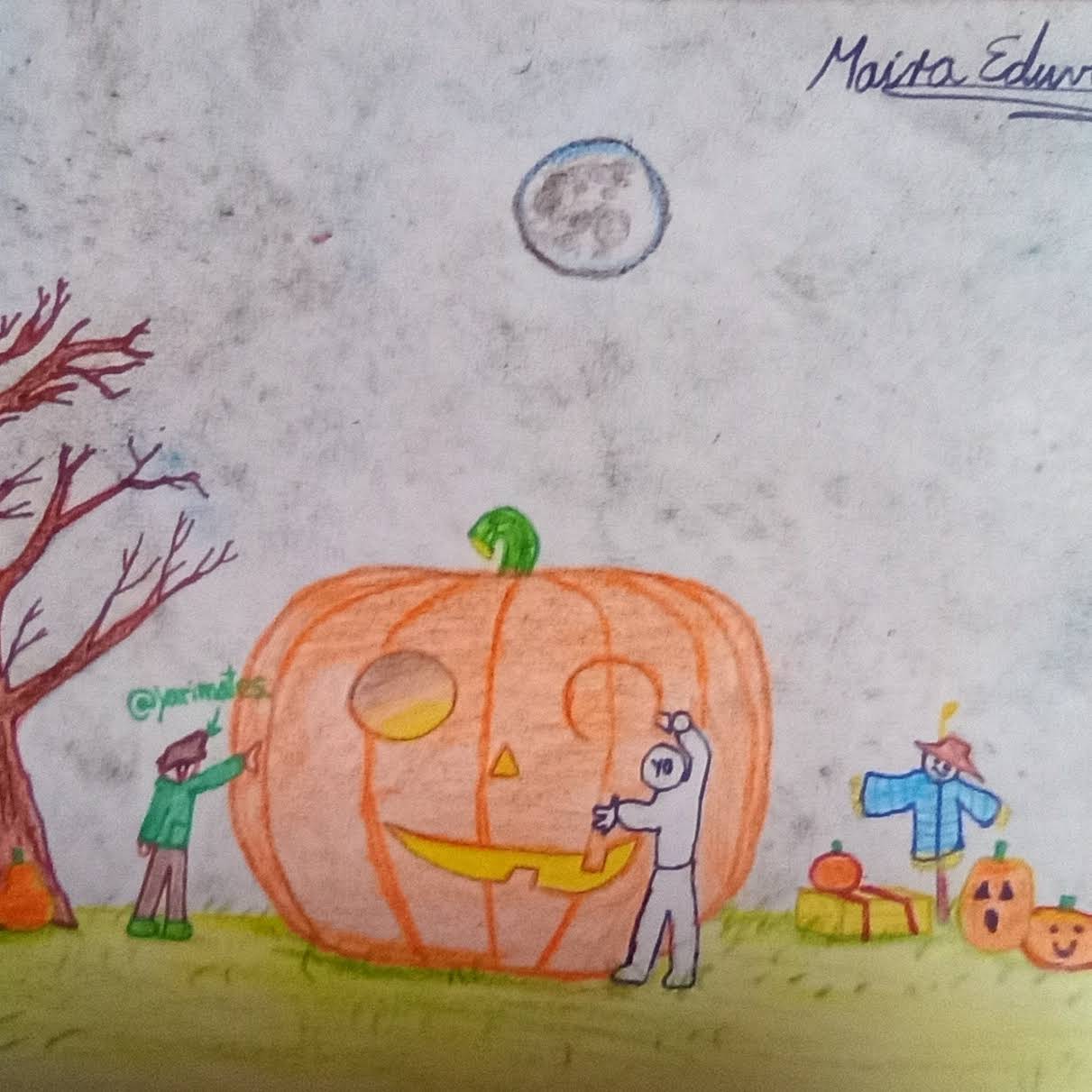 Post from Maira Eduviges Paneca Echemendias